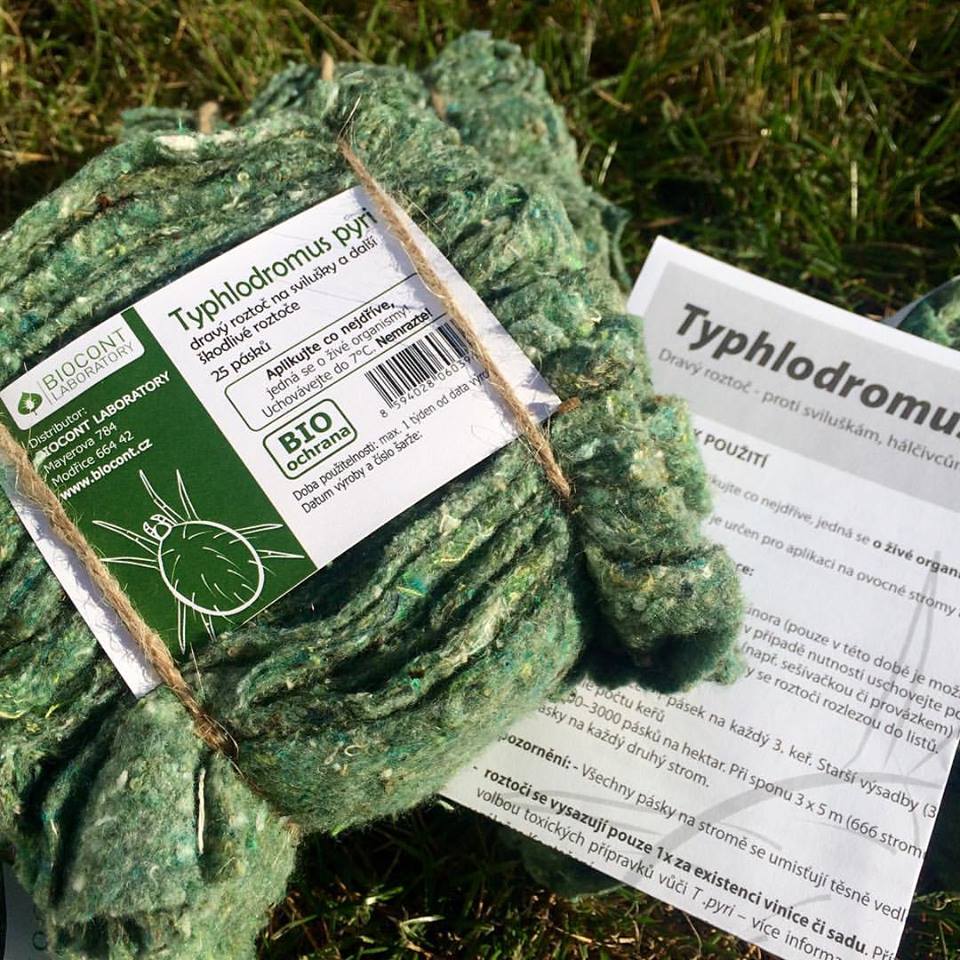 Typhlodromus pyri | BIOCONT